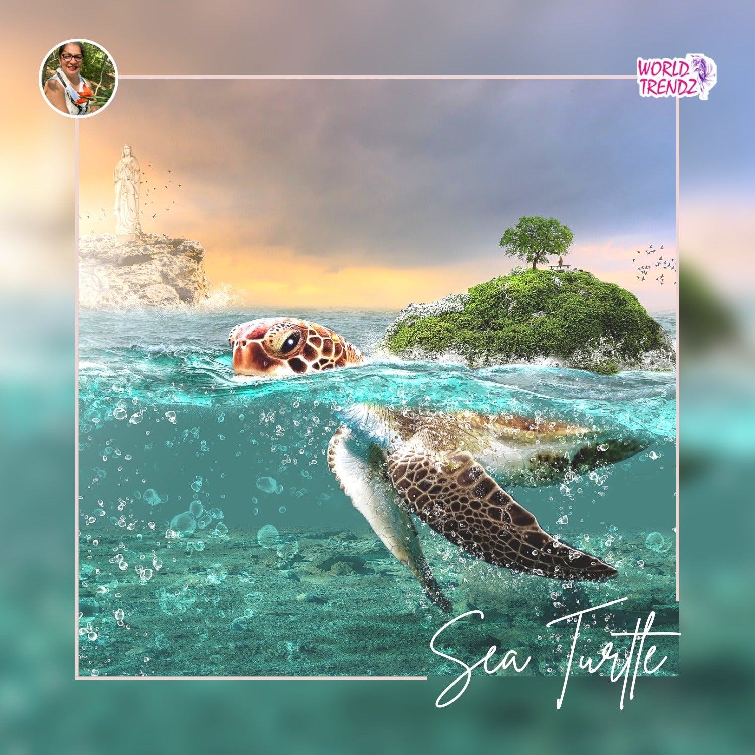 An Introduction to Sea Turtle – WorldTrendz