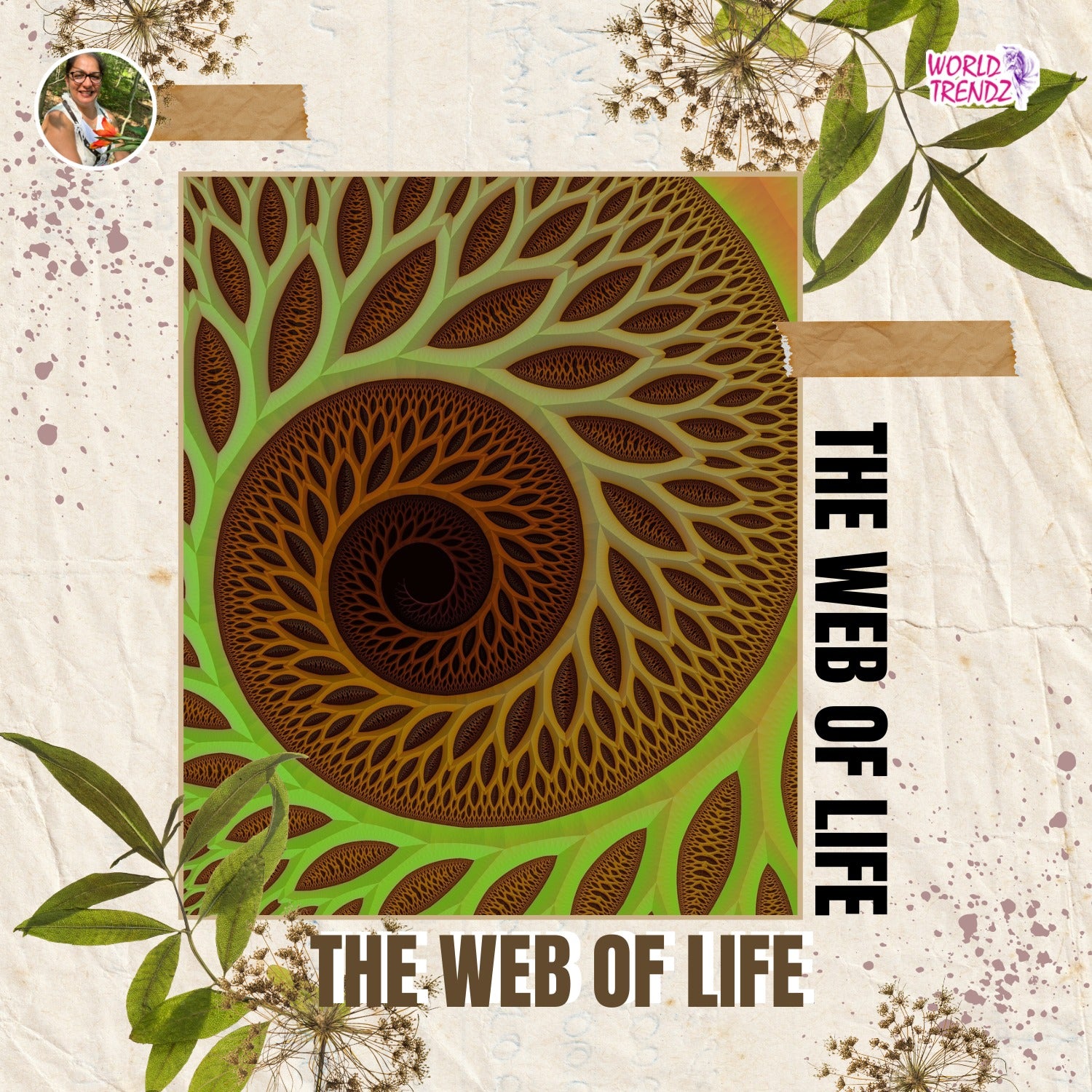 The Best Advice You Could Ever Get About The Web Of Life – WorldTrendz